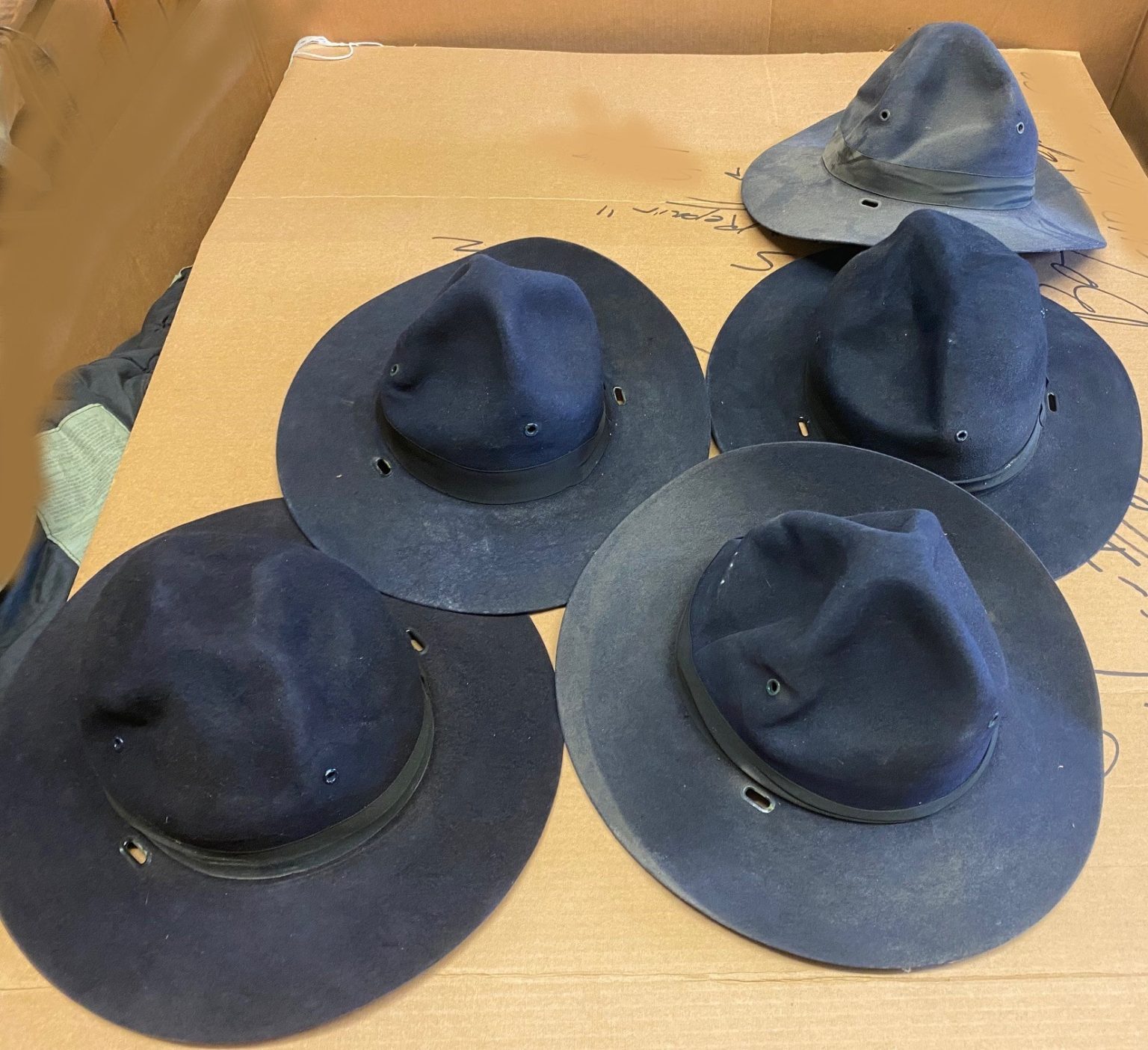 Campaign Hat-Drill Instructor-Smokey Bear-BLUE 5pk